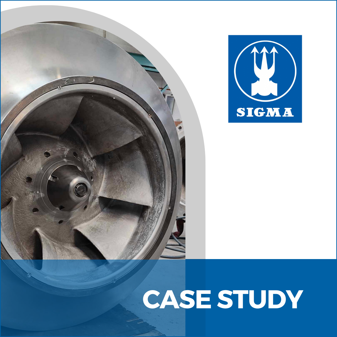 Case study - acceptance testing of industrial pumps for Sigma ...